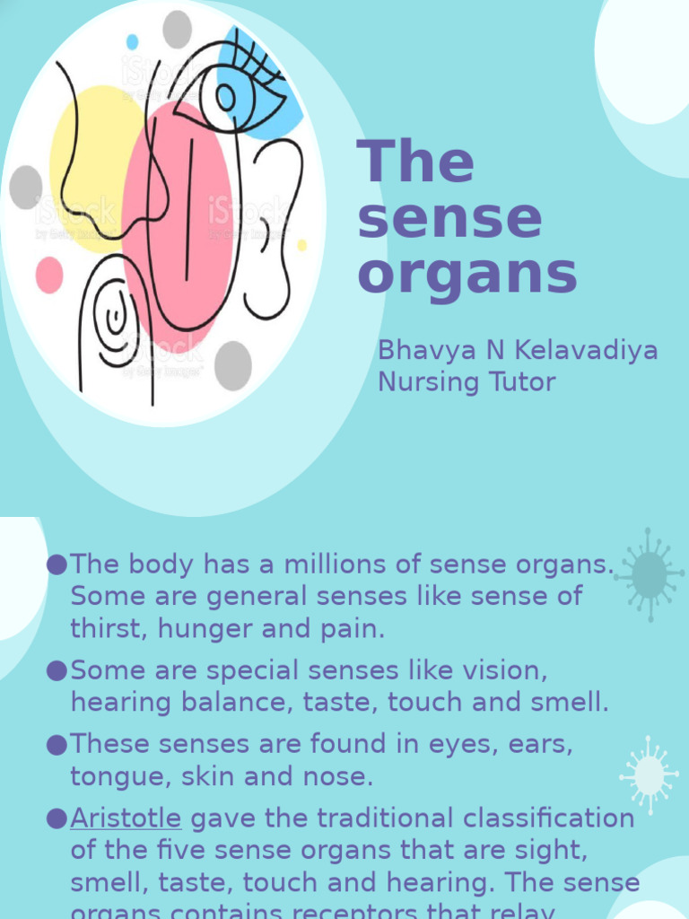 The sense organs | PDF | Senses | Ear