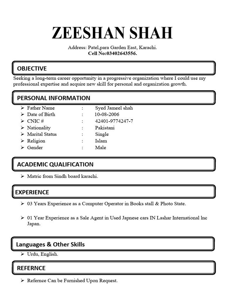 Zeeshan CV | PDF