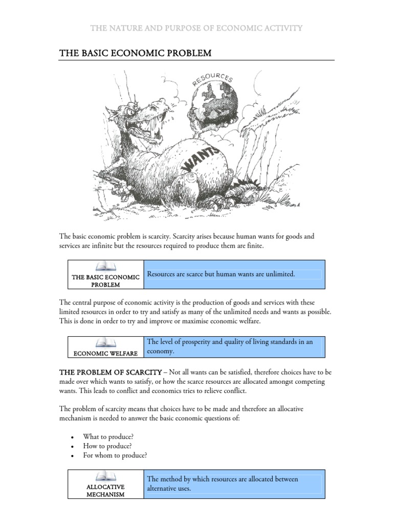 Purpose of Economic Activity Explained | PDF | Free Market | Economics