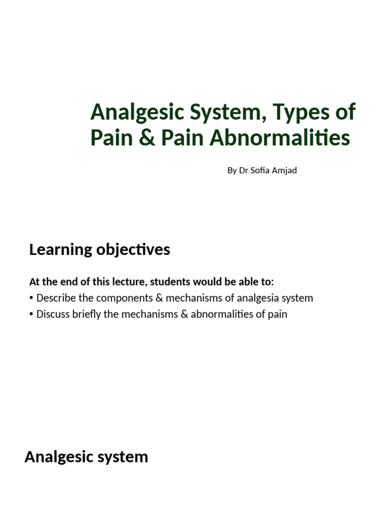 Analgesic System and Pain Mechanisms | PDF | Pain | Spinal Cord
