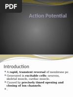 Maslows Hierarchy of Needs Presentation | PDF