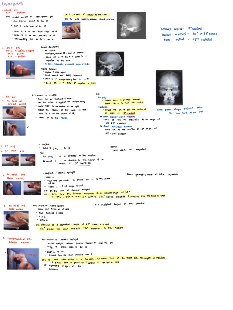 Midterm Cranium 2 | PDF