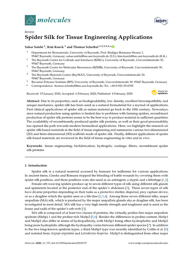 2020 Spider Silk For Tissue Engineering Applications | PDF | Amino Acid ...