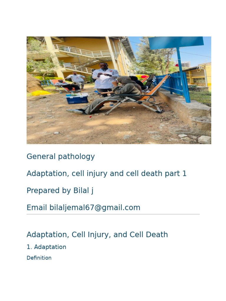 Adaptation Cell Injury and Cell Death | PDF | Epithelium | Atrophy