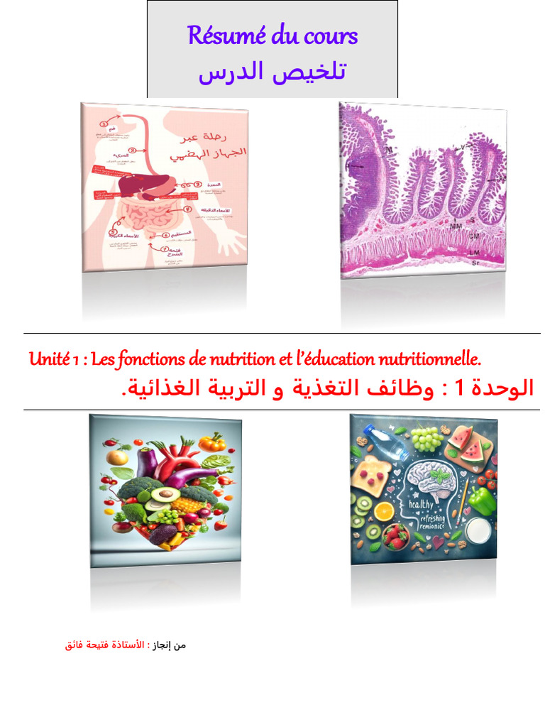 Résumé Du Cours Les Aliments Et La Digestion | PDF