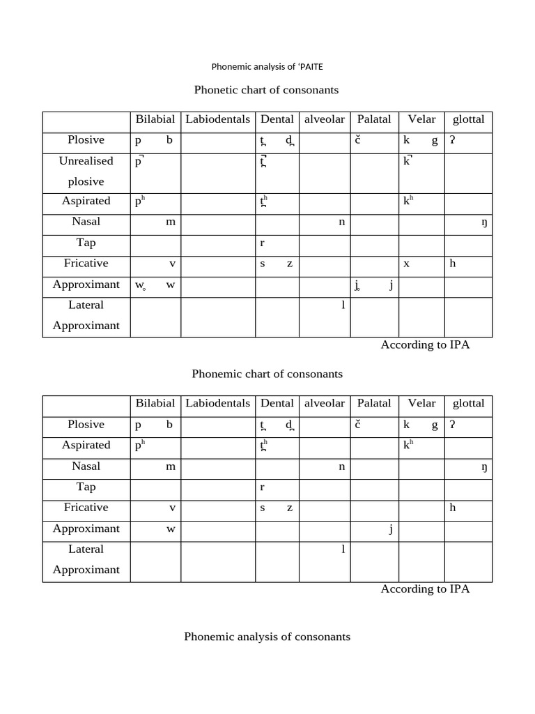 9 phonemic analysis_final | PDF | Consonant | Vowel