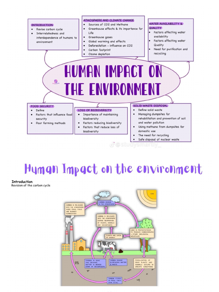 Human impact on the environment grade 11 | PDF