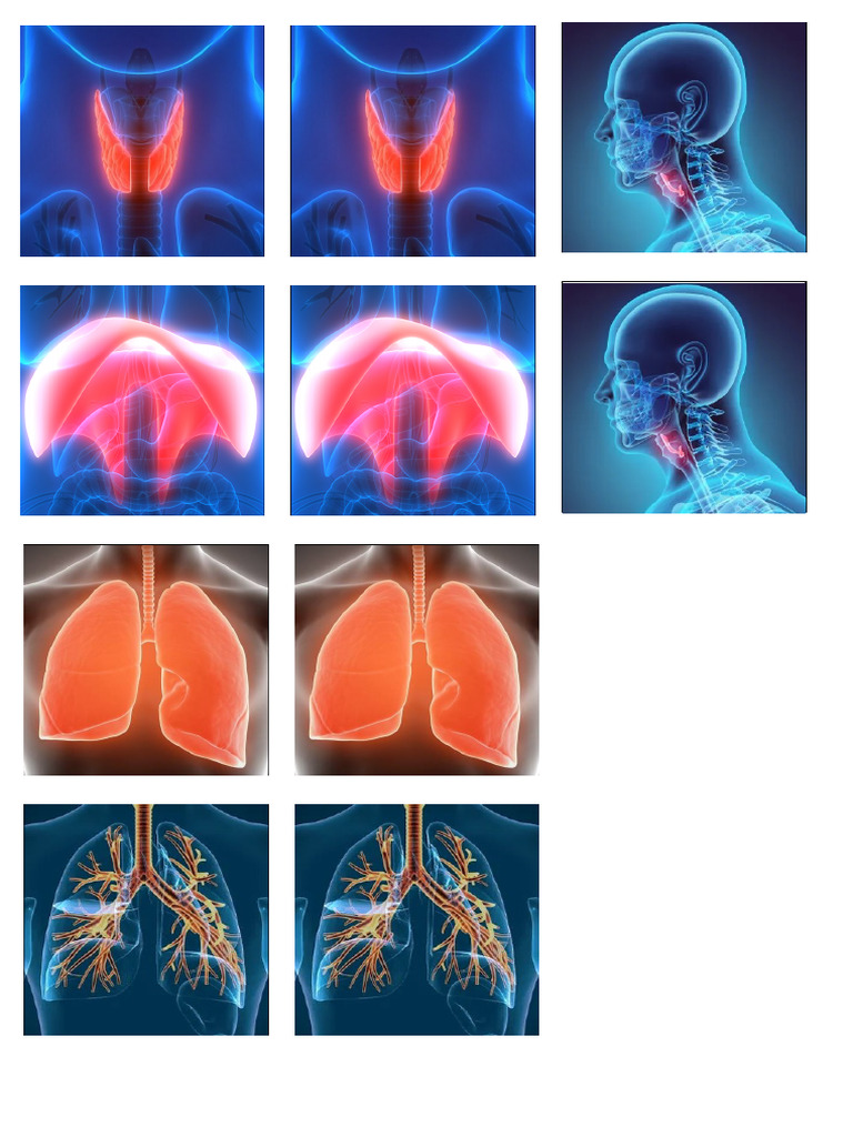 Jogo Memoria Ciencias Sistemas | PDF