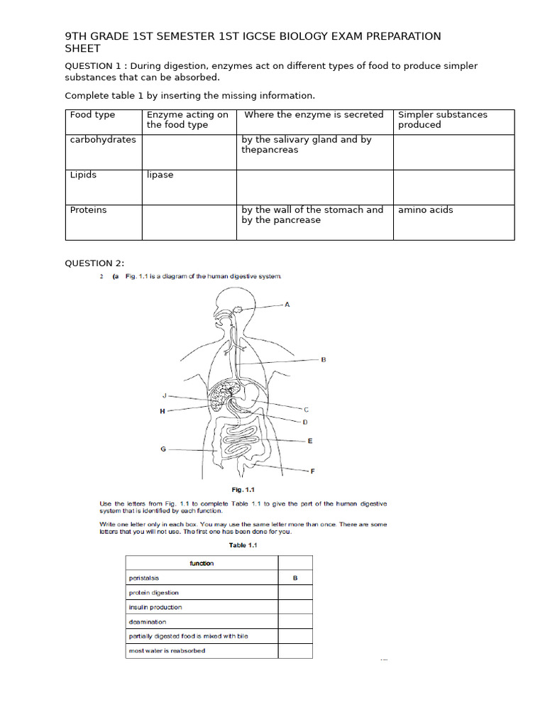 Igcse 1st Semester 1 ST Exam Preparation Sheet | PDF