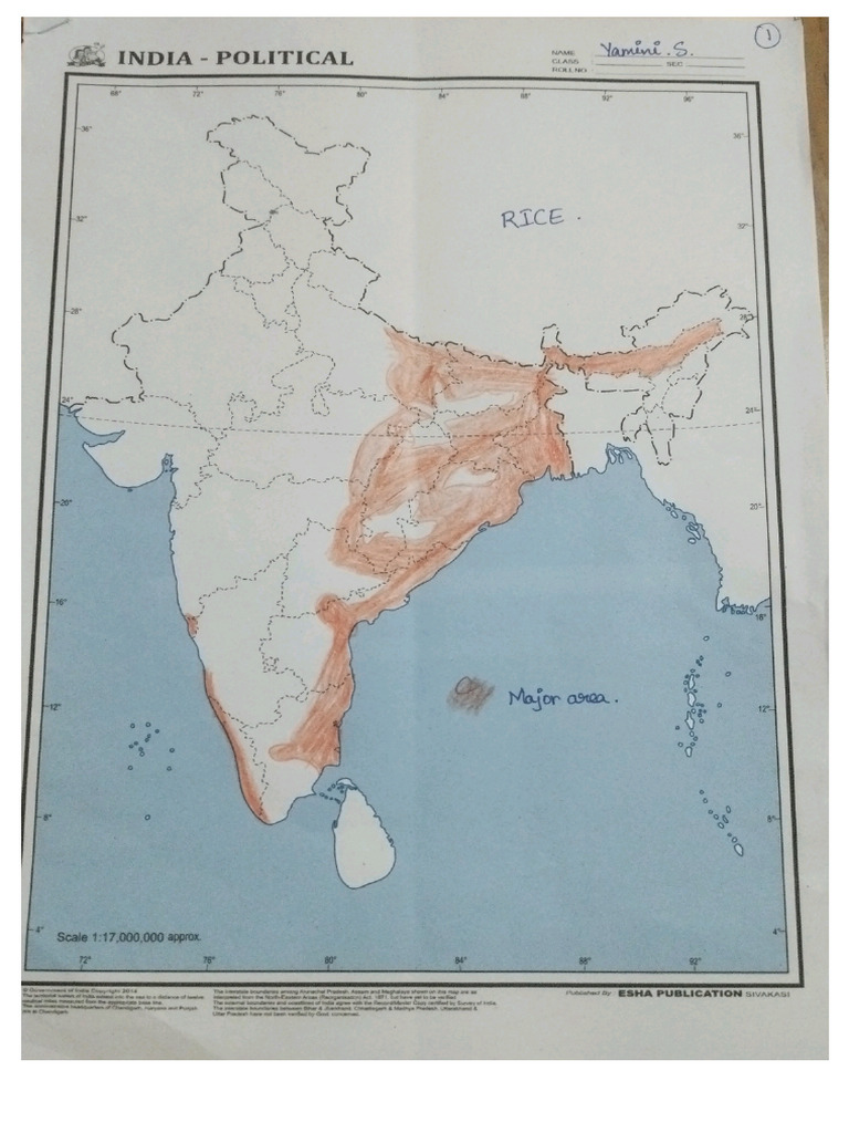 Social Map | PDF