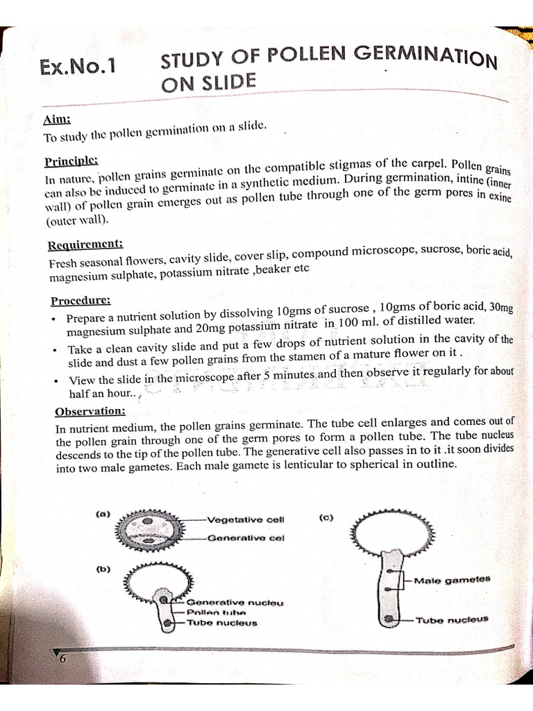 Biology Lab Manual Class 12 | PDF