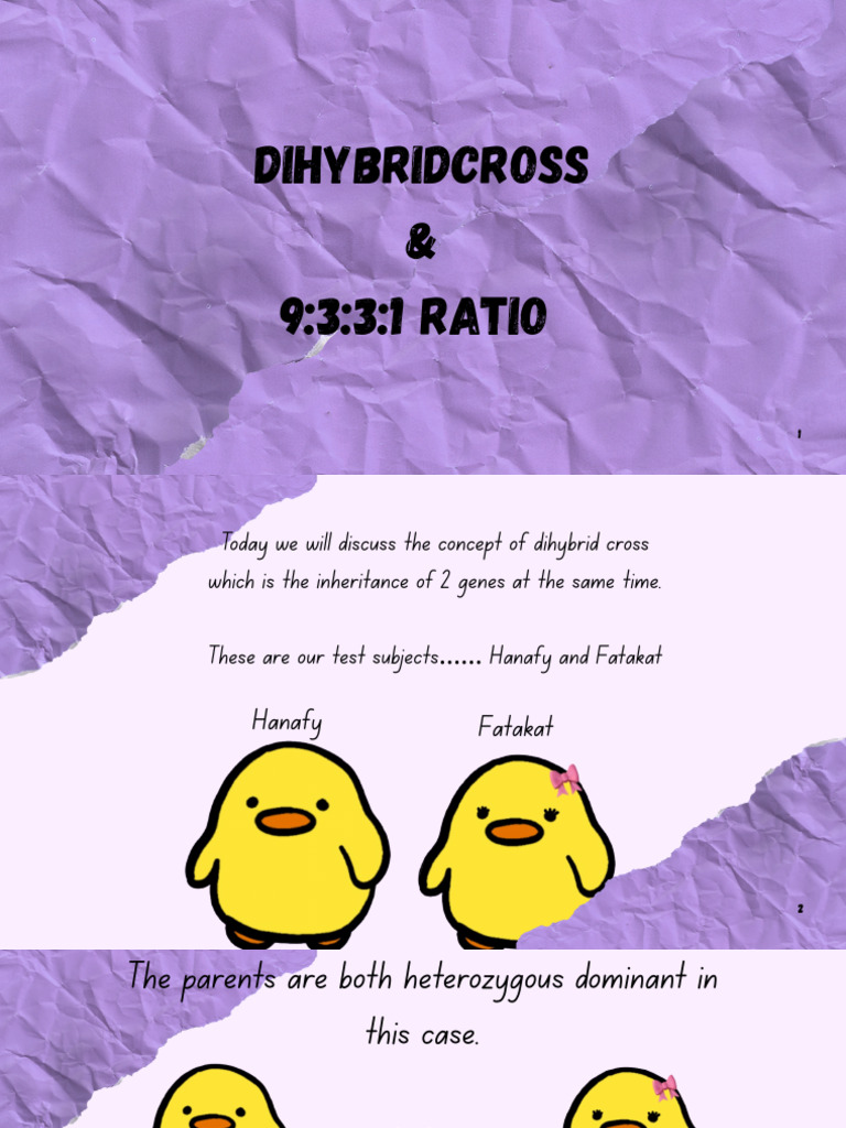DihybridCross & 9331 Ratio ٠ PDF | PDF | Meiosis | Molecular Biology