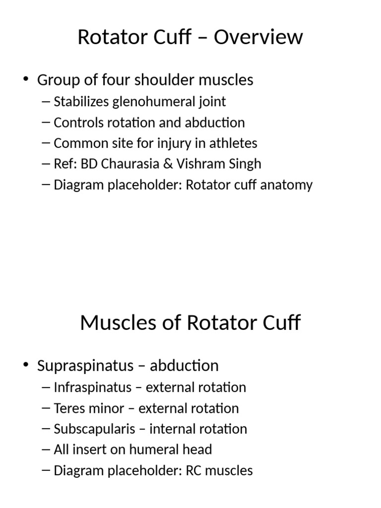 Rotator Cuff and Scapula Presentation | PDF | Shoulder | Limbs (Anatomy)
