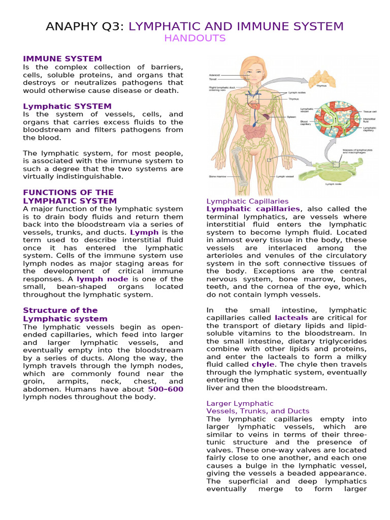 Anaphy q3 Lymphatic N Immune Handouts 3 2 | PDF | T Cell | Lymphatic System