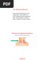 Mechanical Ventilation- Khalid Al-Ayed | PDF