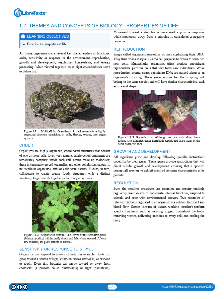 1.07 Themes and Concepts of Biology - Properties of Life | PDF ...