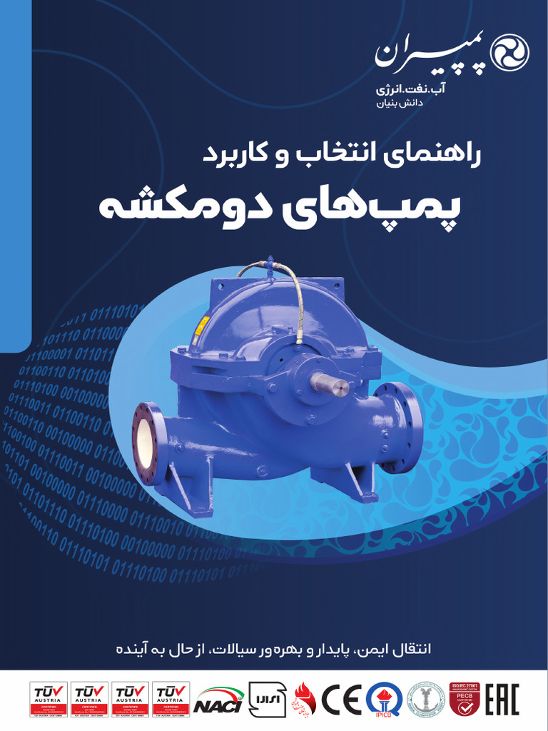 Double Suction Pump | PDF