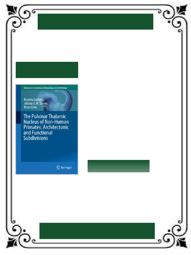 The Pulvinar Thalamic Nucleus of Non-Human Primates: Architectonic and ...