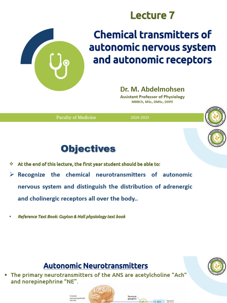 Foundation 1 Lecture 7 (Physiology) | PDF | Acetylcholine | Autonomic ...