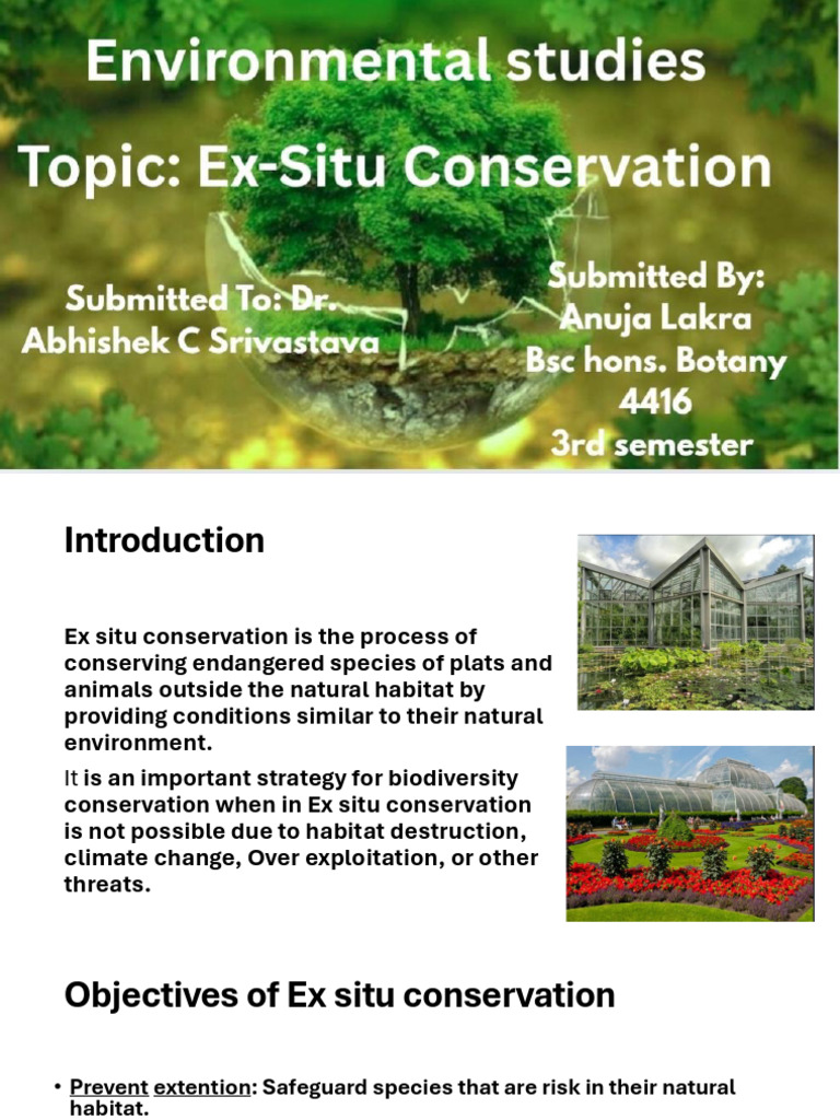 Ex Situ Conservation | PDF | Zoo | Conservation Biology
