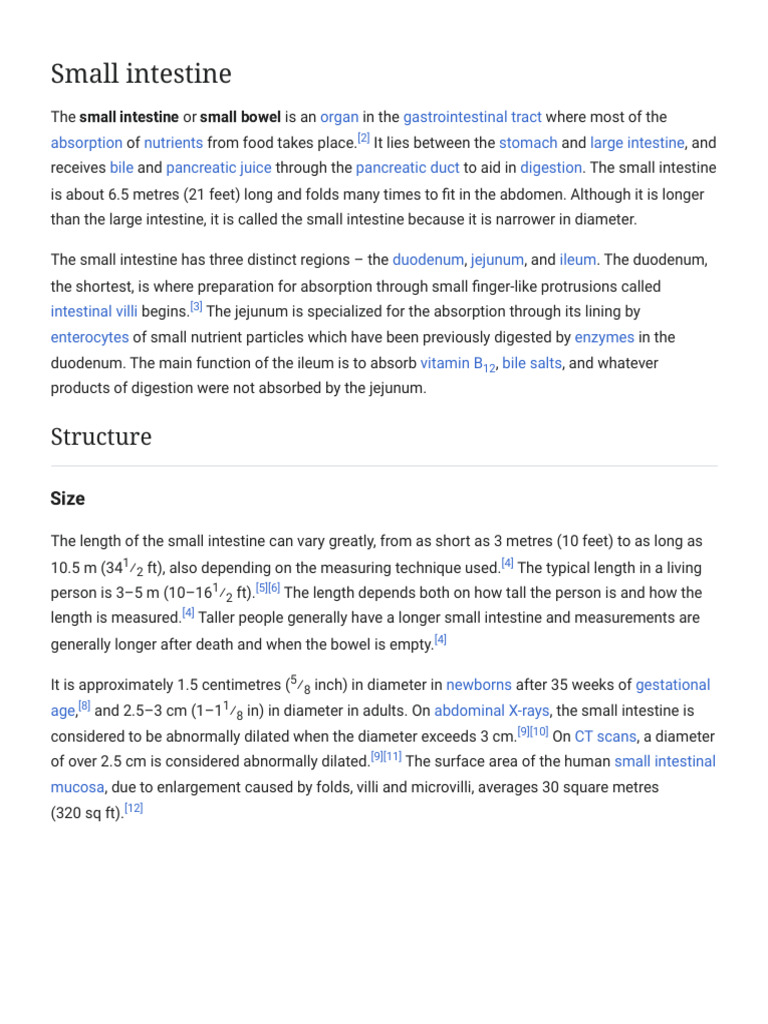 Anatomy and Function of the Small Intestine | PDF | Small Intestine ...