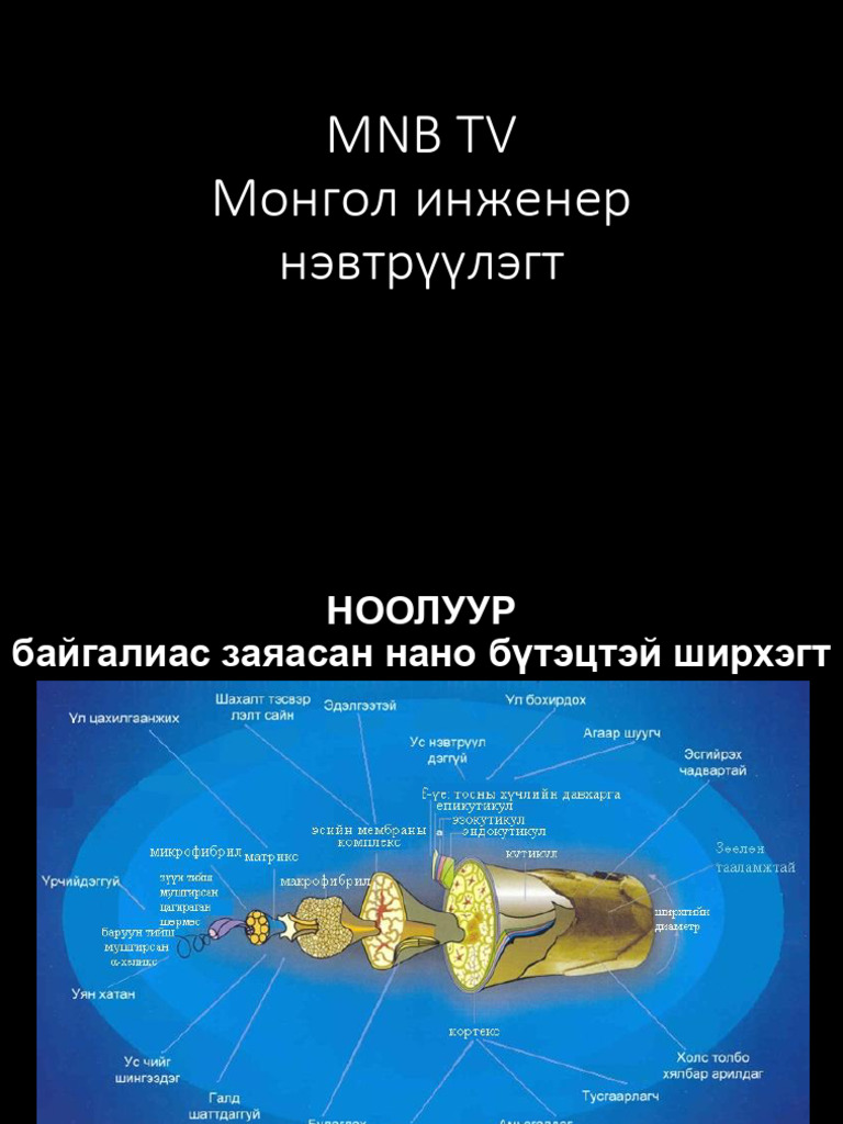 Mongol Engineer MNB TV | PDF