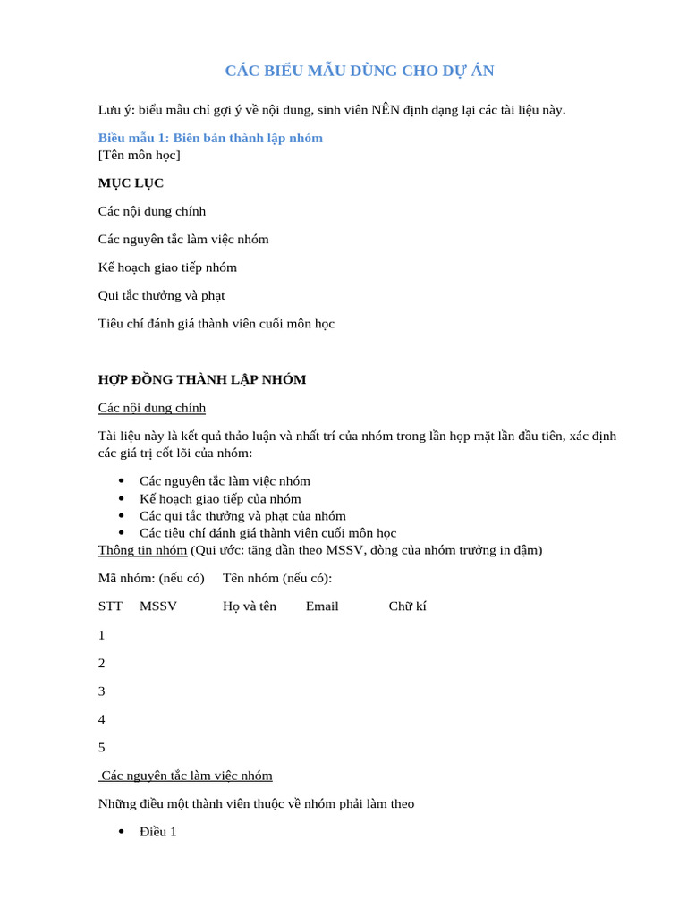 10 - Cac Bieu Mau Danh Cho Du An | PDF