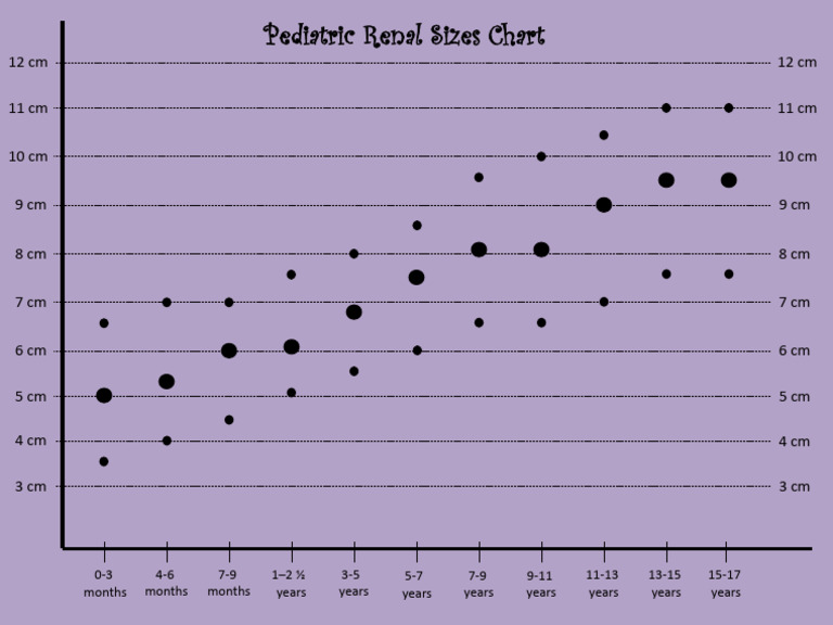Renal Sizes Chart | PDF