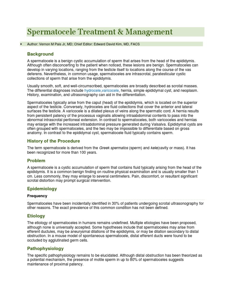 Spermatocele | Surgery | Testicle