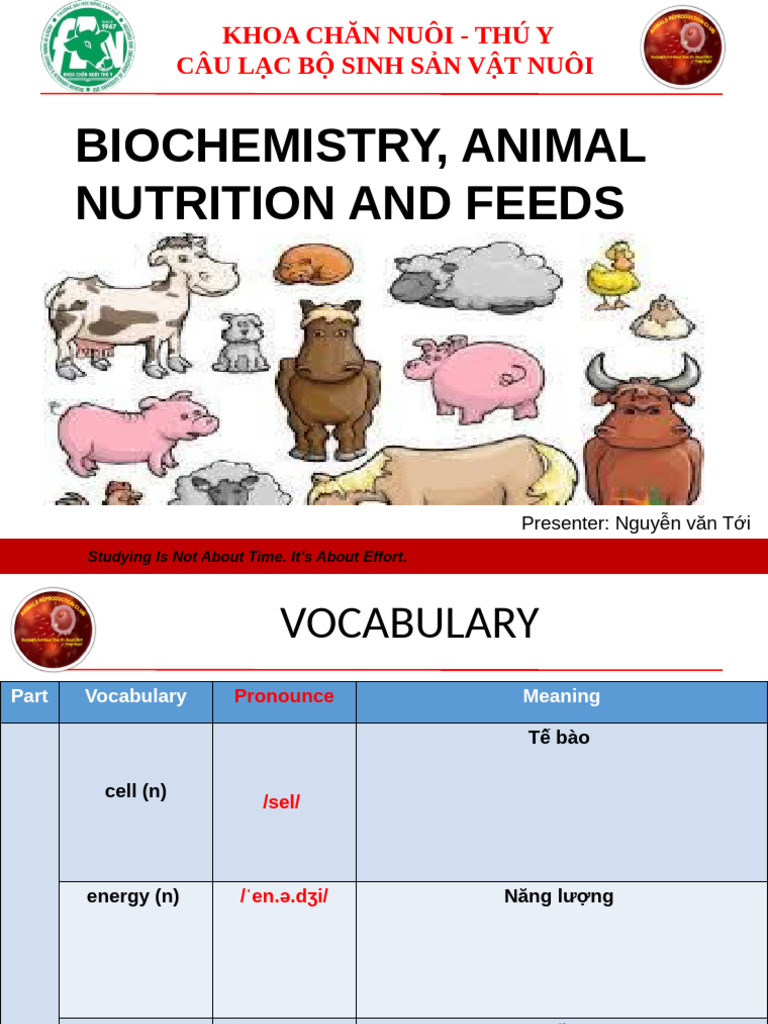 Vocabulary for Animal Nutrition Study | PDF | Biology