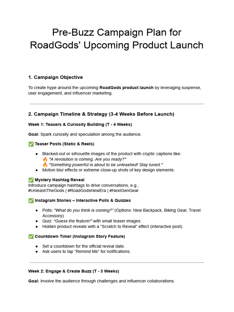 Pre-Buzz Campaign Plan For RoadGods' Upcoming Product Launch | PDF ...