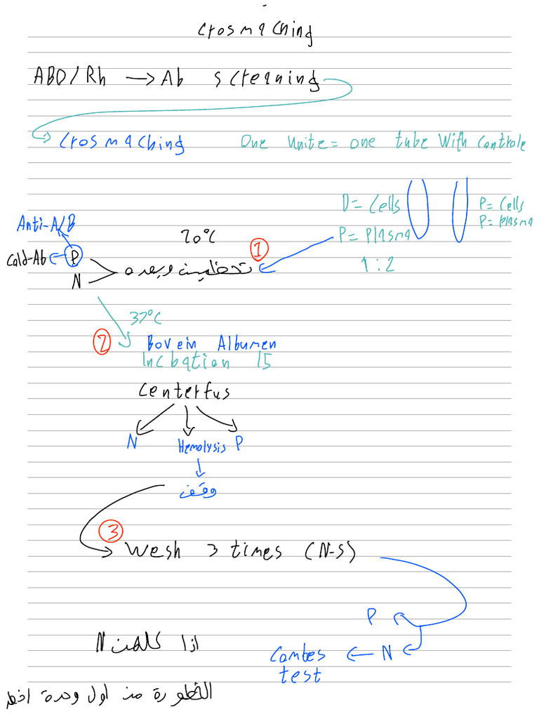 New Note 2025-10-30 12-24-33 | PDF