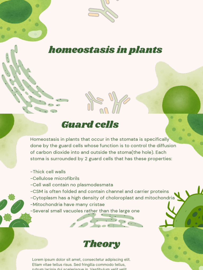 Guard Cells and Plant Homeostasis | PDF