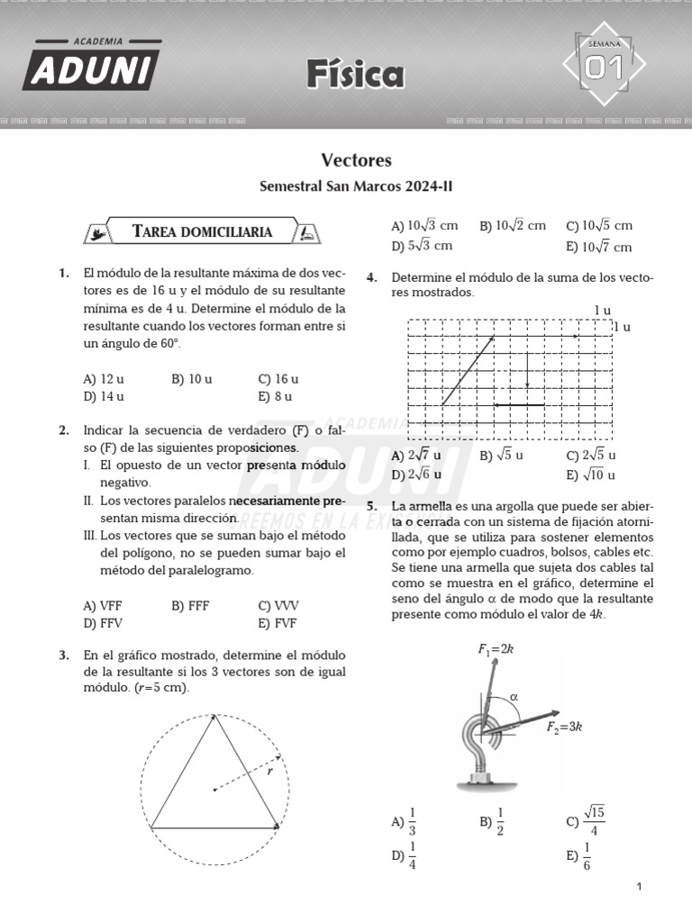 FI_SSM_Dom_Sem01 | PDF | Vector Euclidiano | Geometría euclidiana