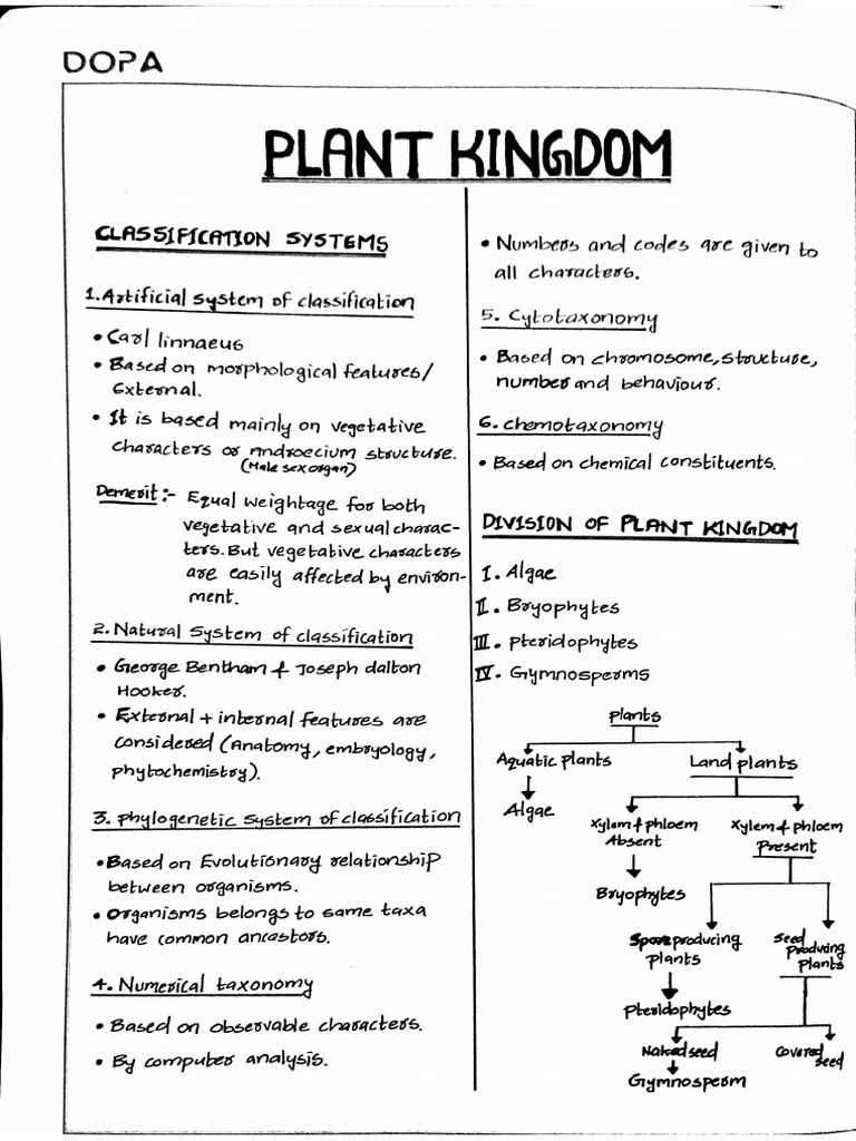 Dopa Capsule Plant Kingdom | PDF
