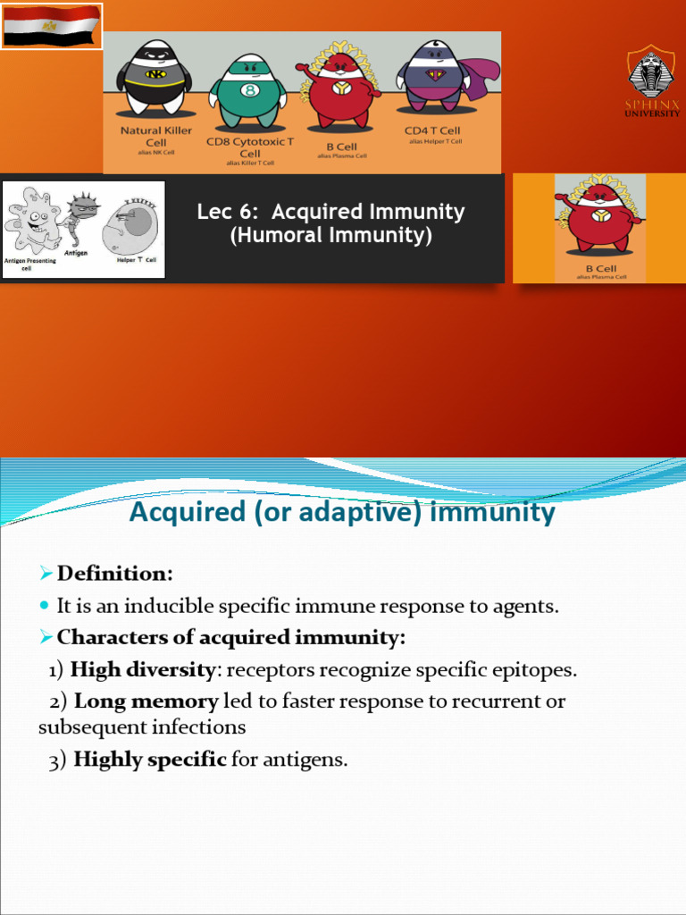 Understanding Humoral Immunity Basics | PDF | Immune System | Antibody