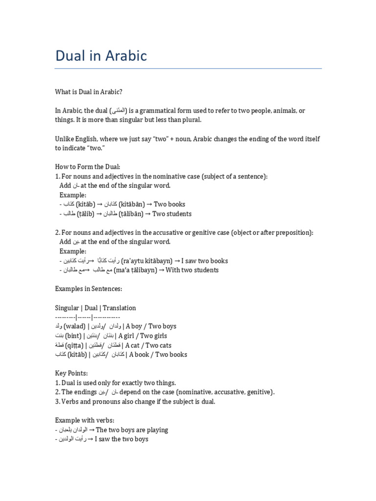 Understanding Dual in Arabic Grammar | PDF