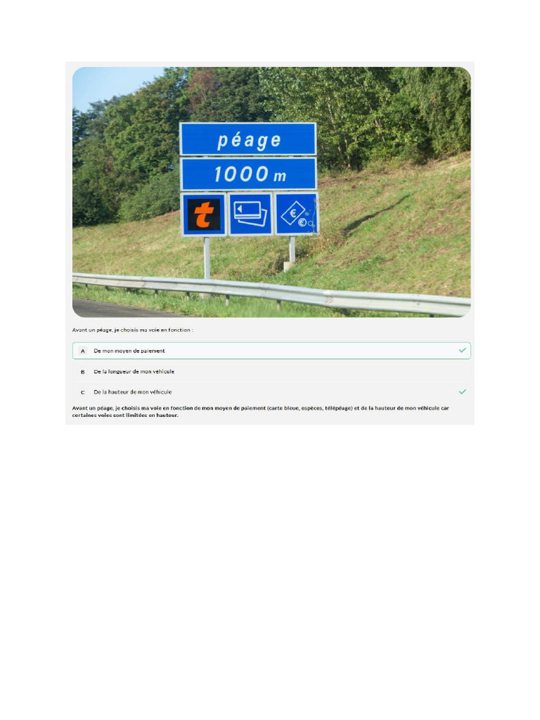 Driving Test Errors | PDF
