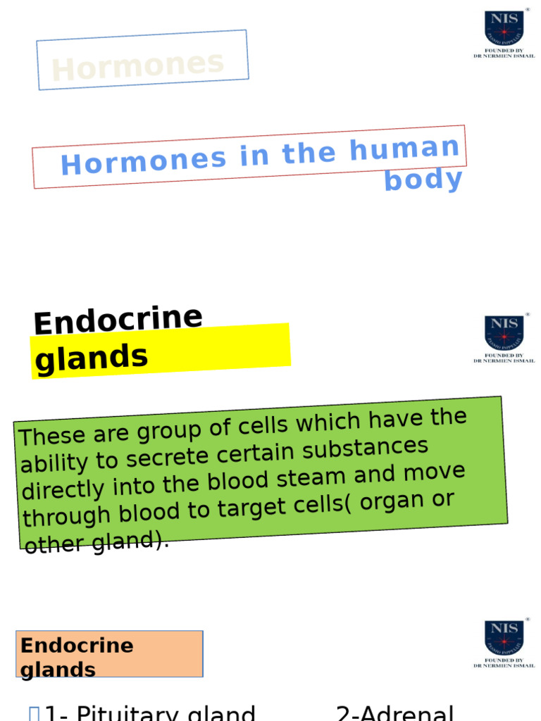 Hormones NEW.pptx (3) | PDF | Endocrine System | Hormone