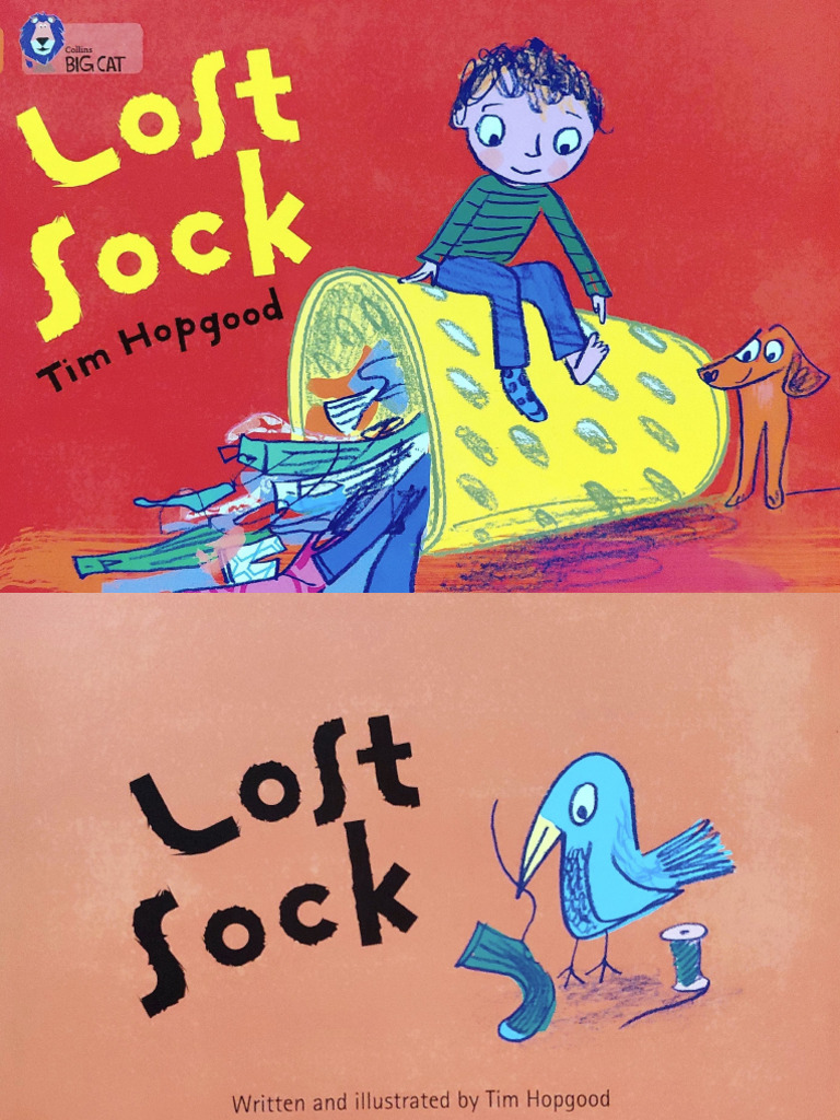 Lost Sock | PDF