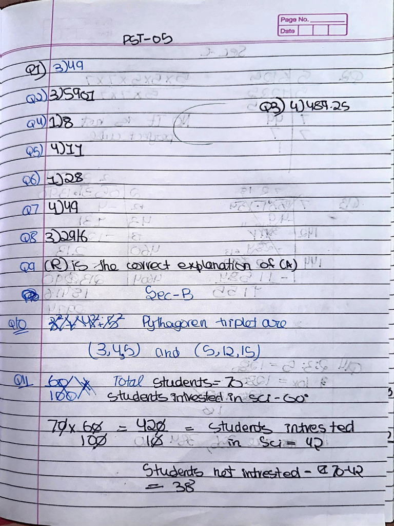 Bisma Arzoo Maths Pst 5. | PDF
