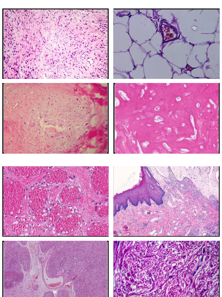Algorithm Design Problem-Solving Questions Flashcards in Colourful Illustra_20251113_155734_0000 ...