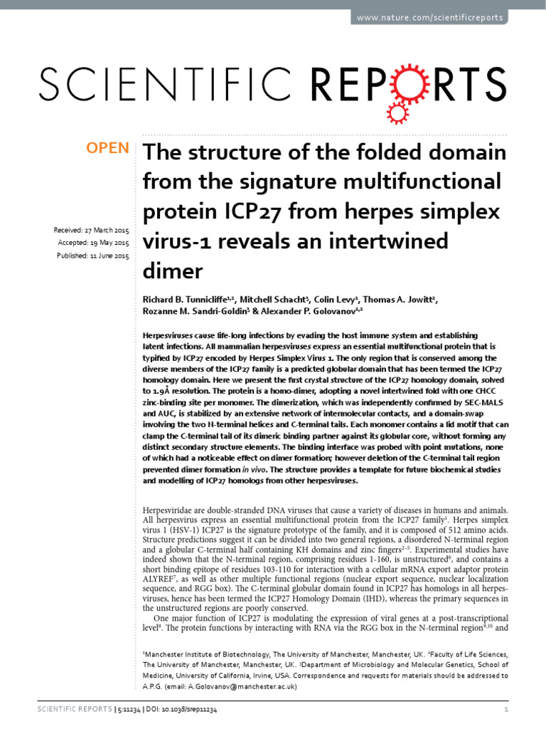 ICP27 Dimer | PDF | Protein Domain | Proteins