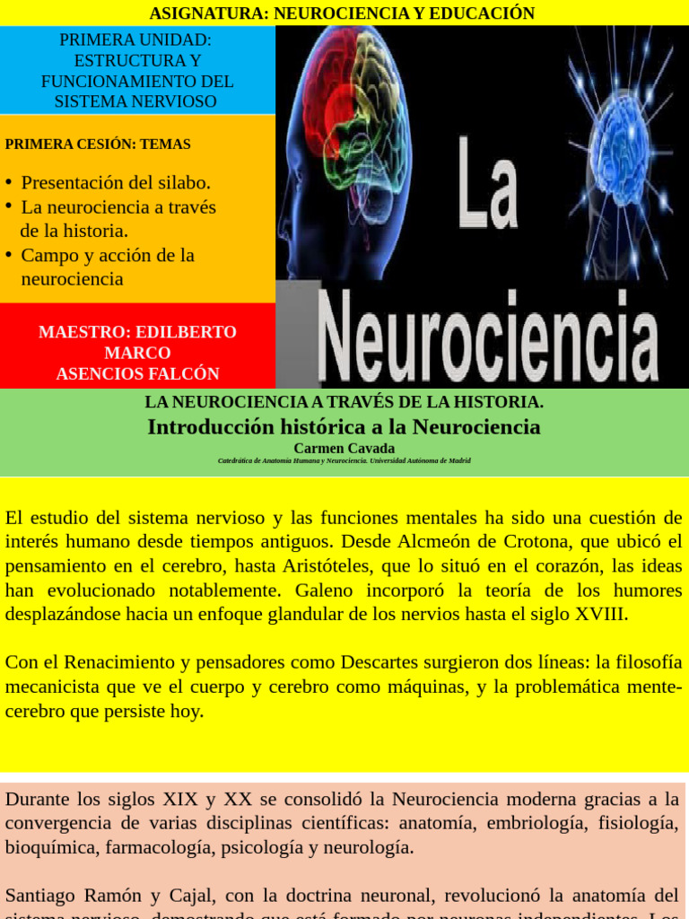 Primera Cesión Neurociencia | PDF | Neurociencia | Cerebro
