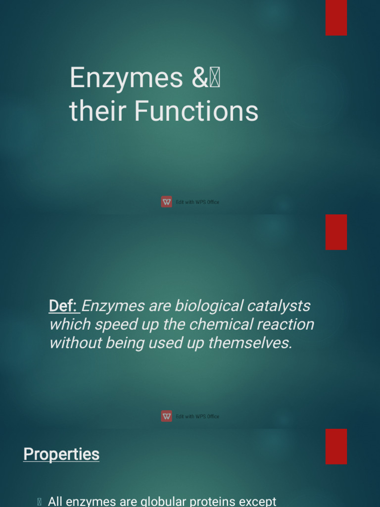 Enzymes: Functions and Mechanisms | PDF
