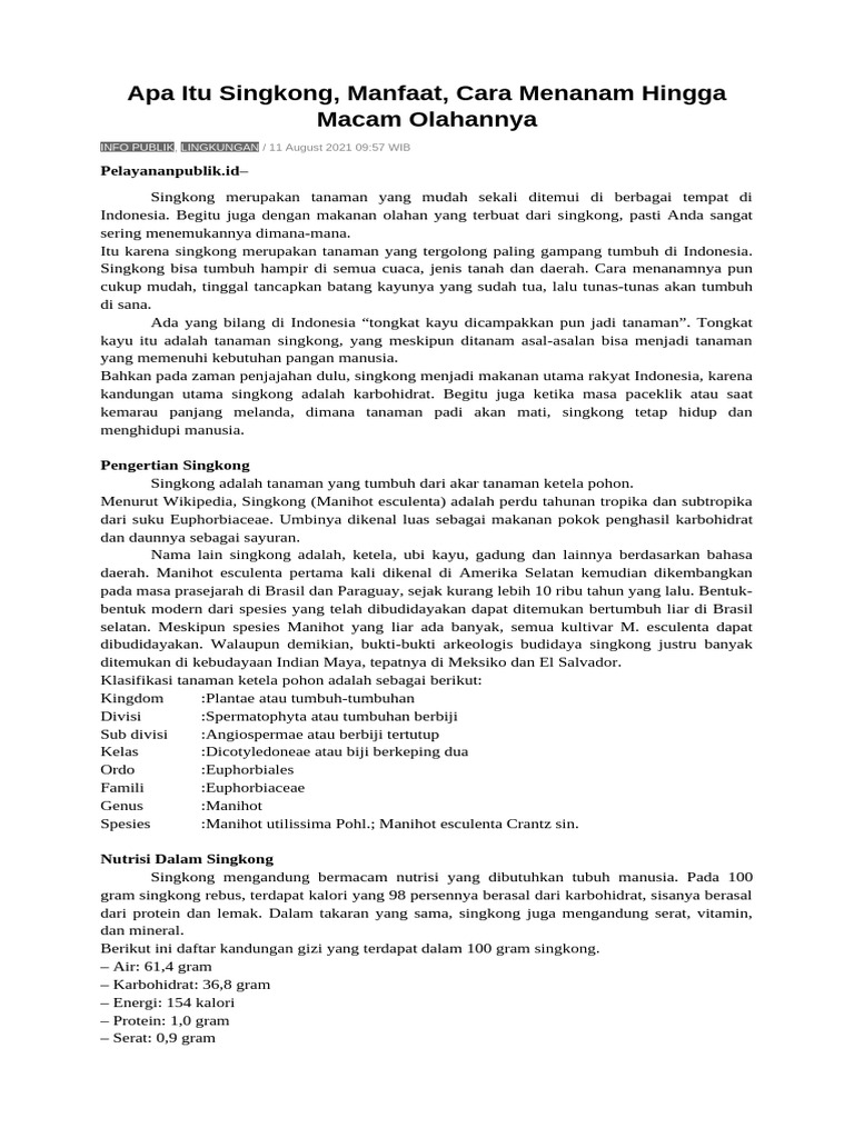 Apa Itu Singkong | PDF