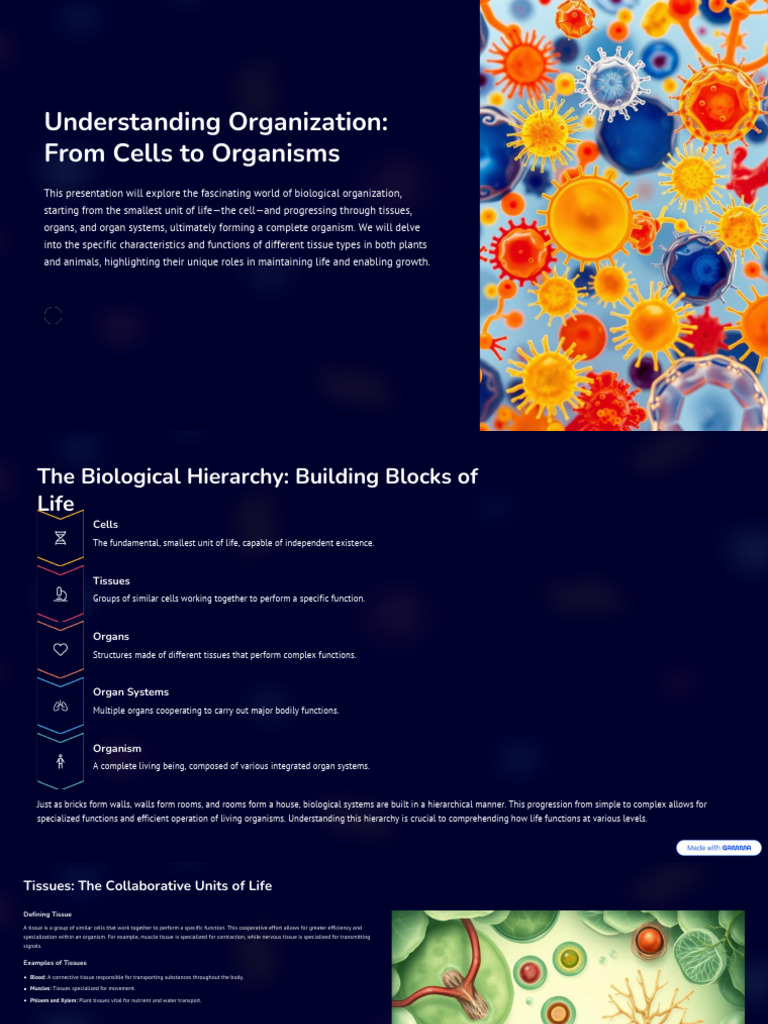 Biological Organization: Cells to Tissues | PDF | Tissue (Biology ...