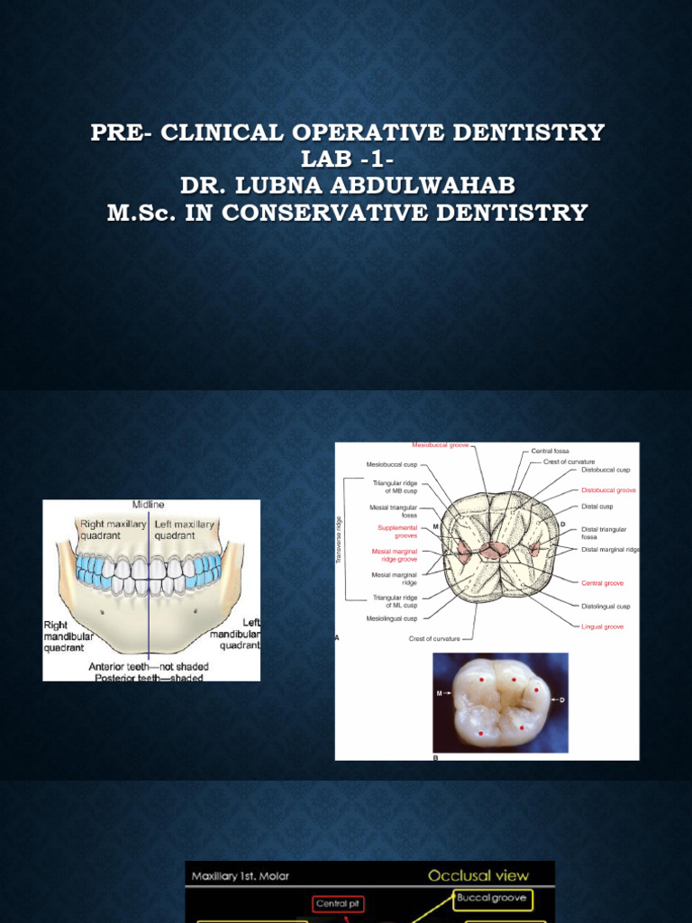 Pre-Clinical Operative Dentistry Tools | PDF