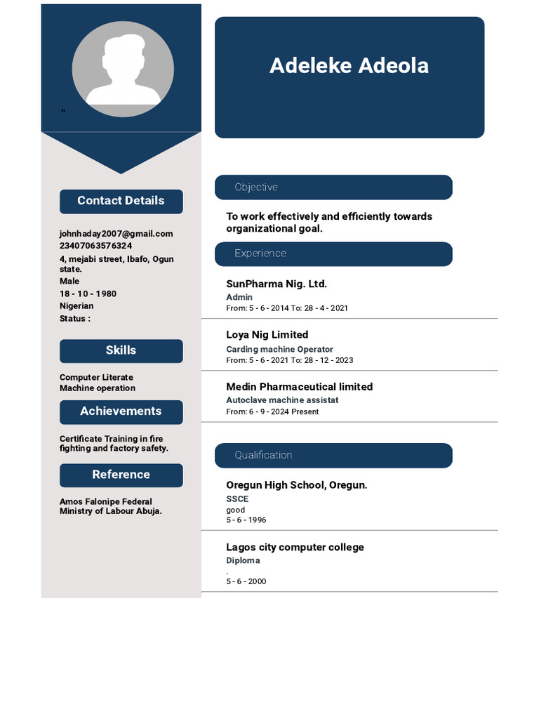 Nigerian Resume: Skills & Experience | PDF