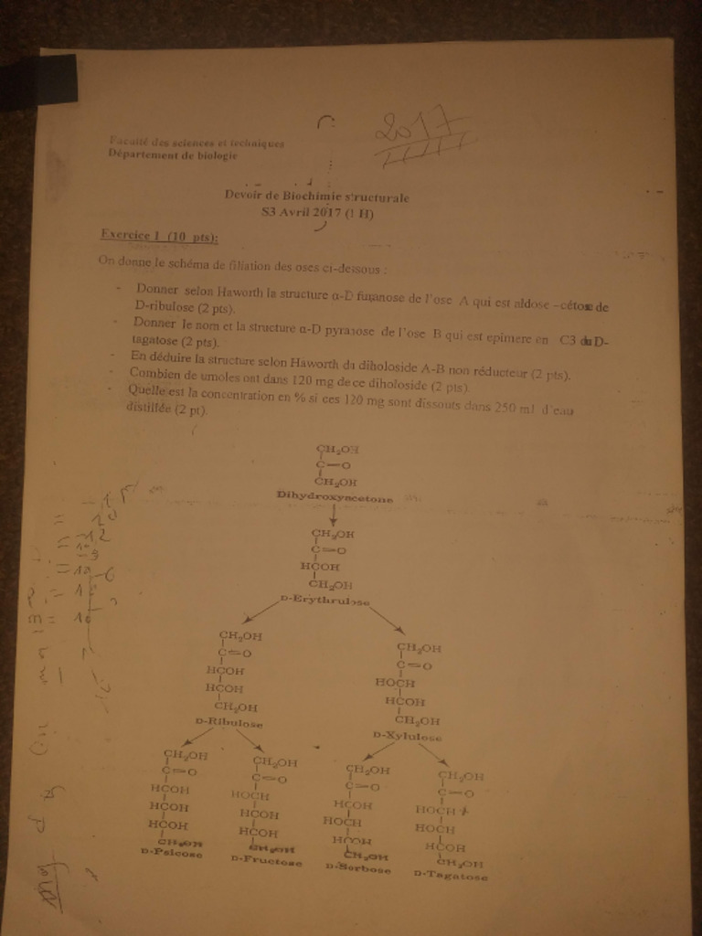 Archive Biochimie (1) | PDF